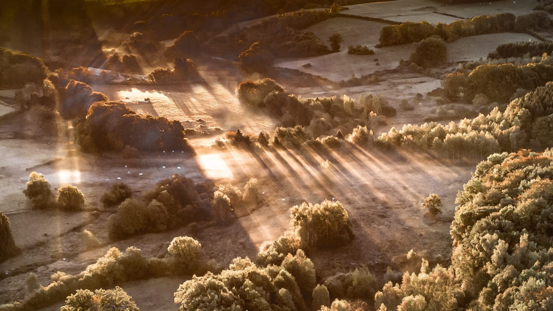 Le Parc Naturel Régional du Morvan, une autre vie s'invente ici